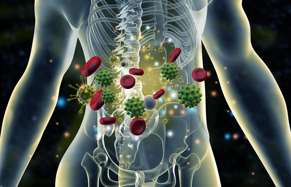 Understanding Sex Differences In Autoimmune Diseases A New Approach To Treatment